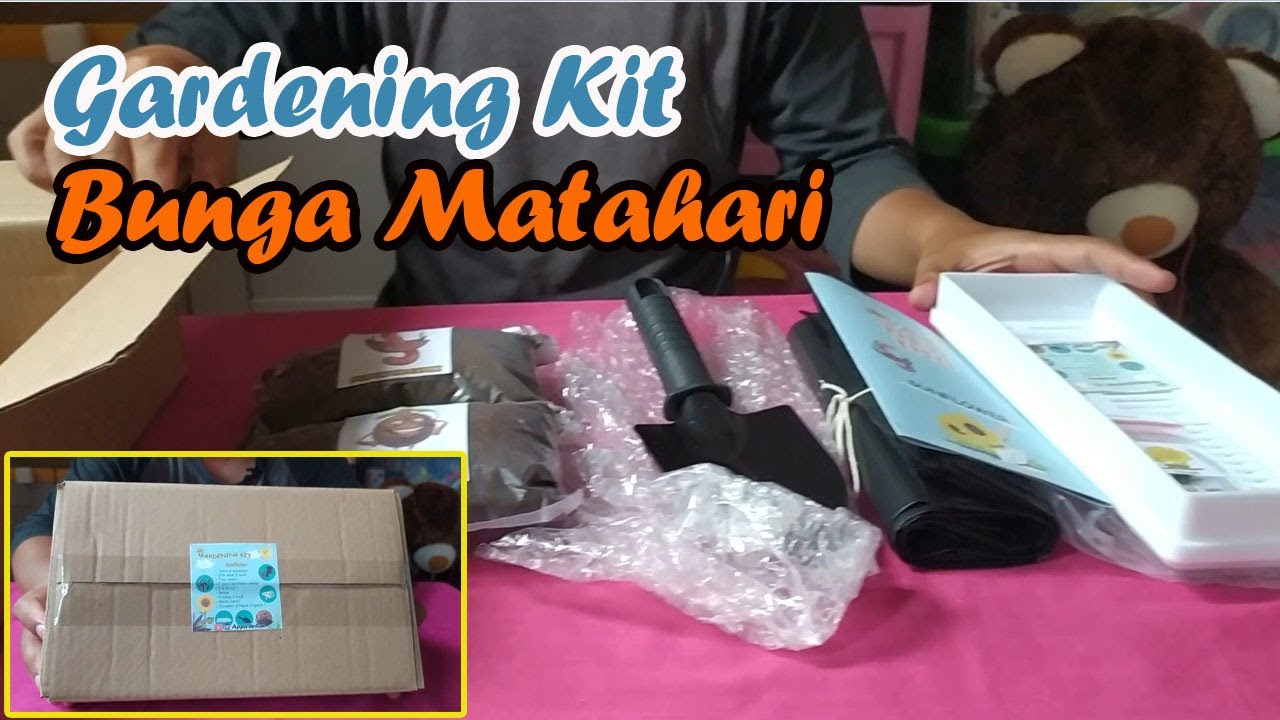 Intip 5 Ide Peluang Usaha Biji Bunga Matahari yang Bikin Kamu Penasaran