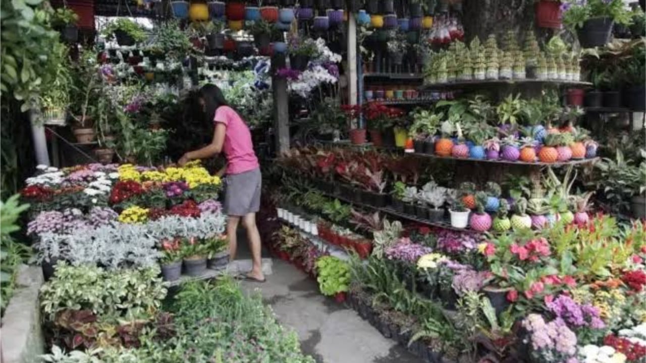 Pasar Bunga Kayoon Surabaya Ramai Pembeli Jelang Valentine, Mawar Jadi ...