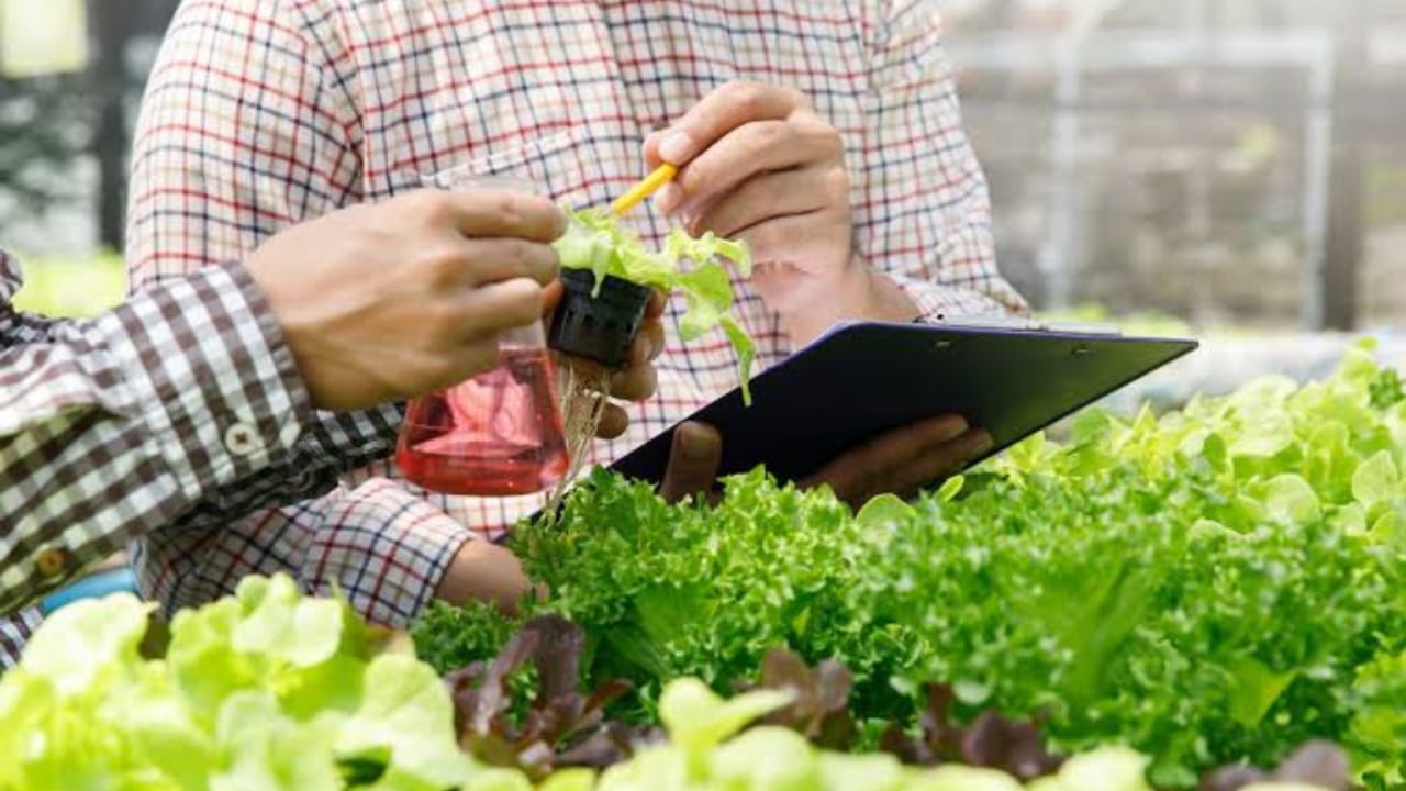 Agribisnis: Sektor Strategis dalam Perekonomian Berbasis Pertanian ...