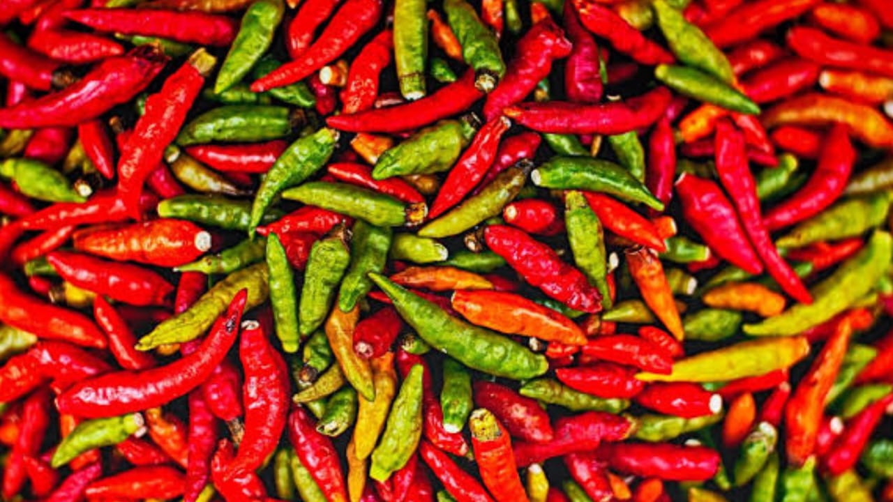 Harga Cabai Rawit Melonjak Tajam di Sumenep Usai Lebaran - UMKMJATIM.COM