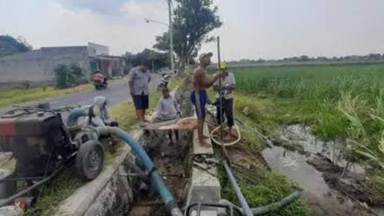 Hadapi Kemarau 2025, Kabupaten Kediri Bangun 900 Sumur Irigasi untuk Tingkatkan Produksi Padi ...
