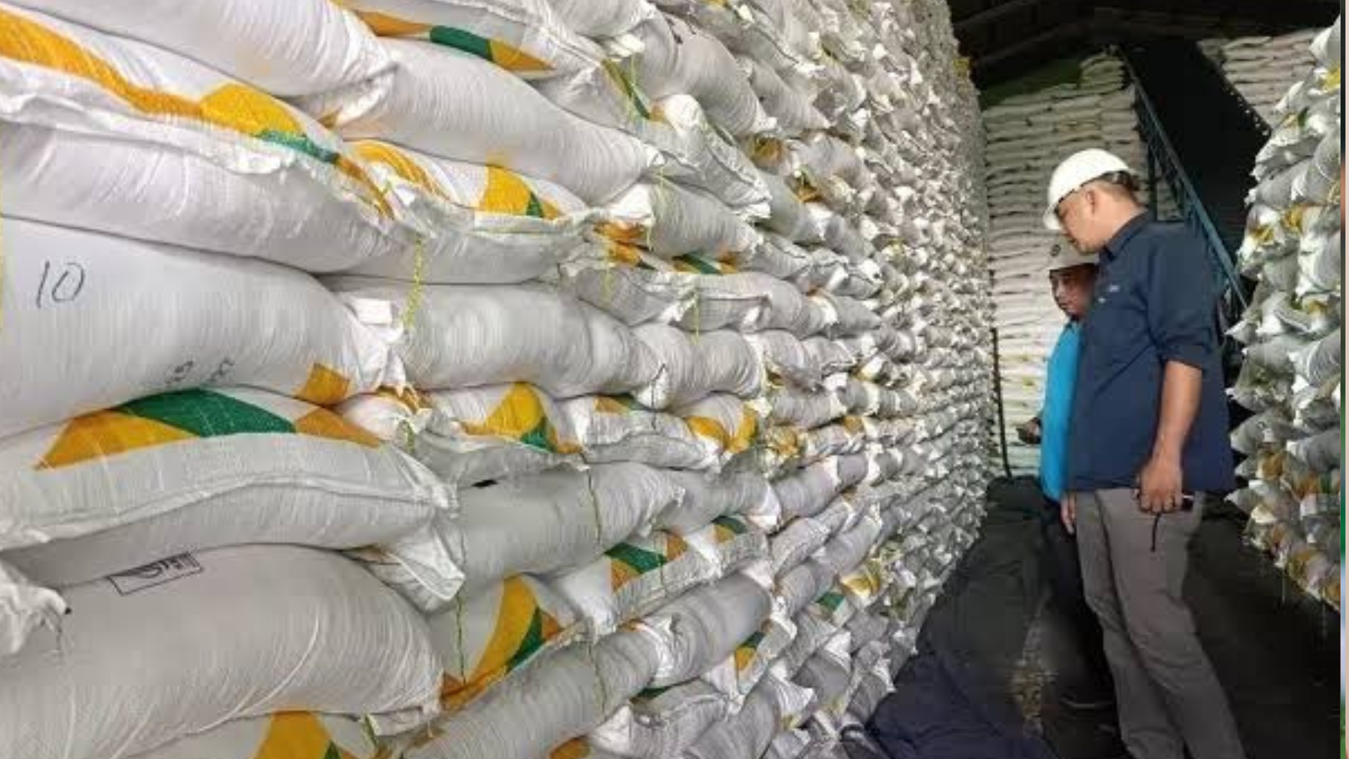 Jombang Percepat Program Bongkar Ratoon Tebu 2.500 Hektare Demi ...