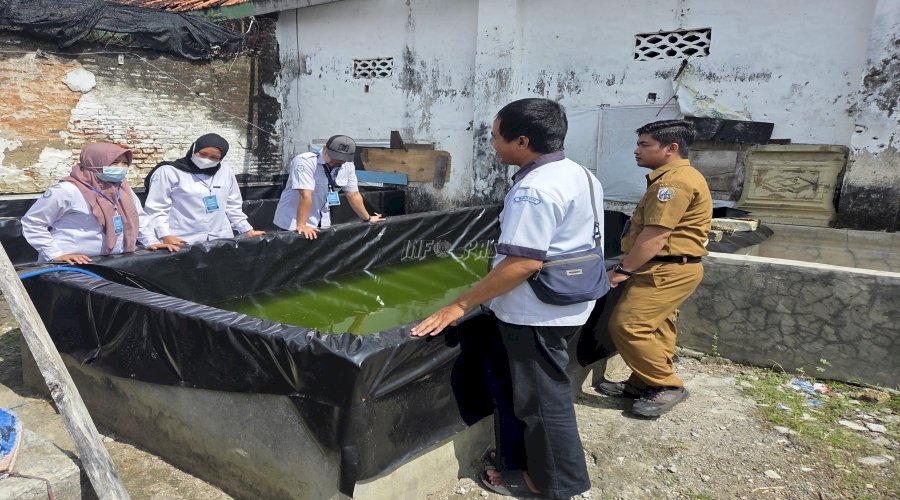 KKNT UTM Bantu Pembudidaya Lele Sampang dengan Mesin Pakan Mandiri ...